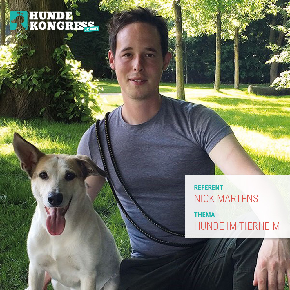 Nick Martens – Hunde im Tierheim - Hundekongress